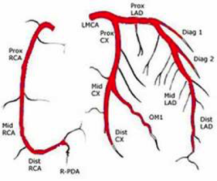 Diagnostic Testing - Birmingham Heart Clinic